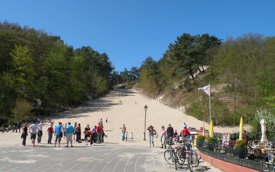 The climbing dune in the Schoorl dunes